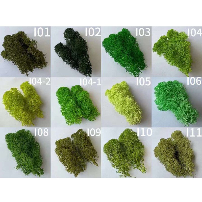Preserved Moss Bulk From China 3HLINK Flowers Supplier