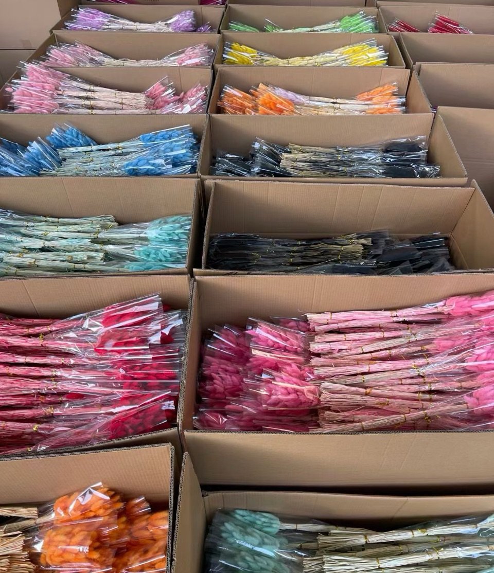 Dried Lagurus Ovatus Wholesale Suppliers from China 3hlink